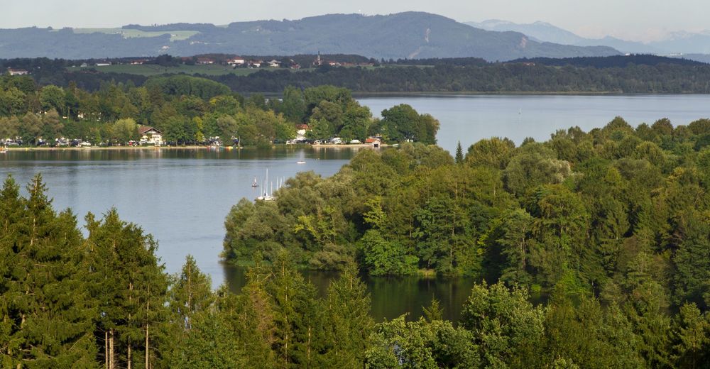 Von Waging nach Taching - BERGFEX - Wanderung - Tour Bayern