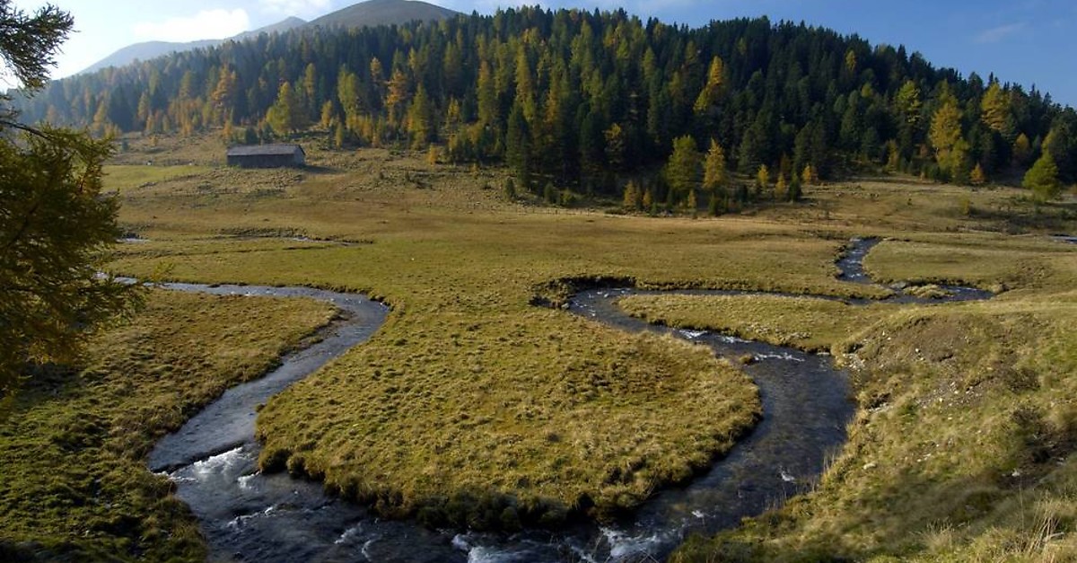 Königstuhlrunde im Biosphärenpark Nockberge - BERGFEX - Wanderung ...