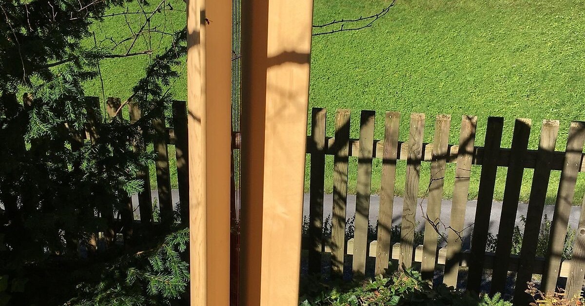 Kulturweg "Haselfichte" | Dalaas - BERGFEX - Themenweg - Tour Vorarlberg