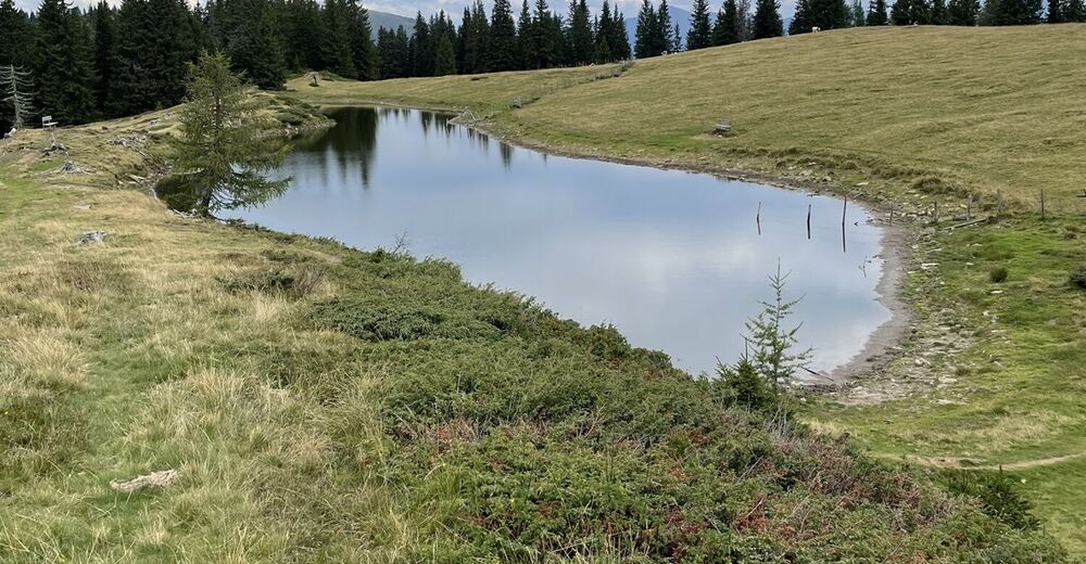 Weißenstein-Schwarzsee - BERGFEX - Randonnée - Parcours Carinthie