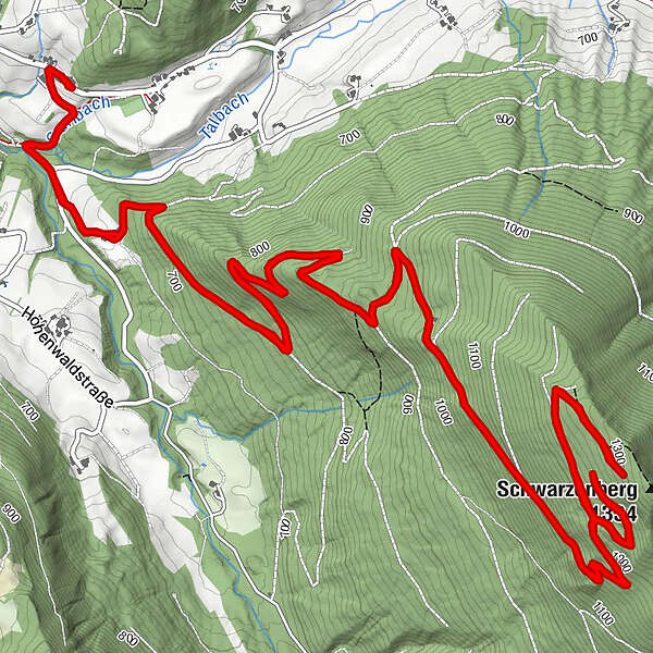 Elsbethen - Schwarzenberg - BERGFEX - Wanderung - Tour Salzburger Land