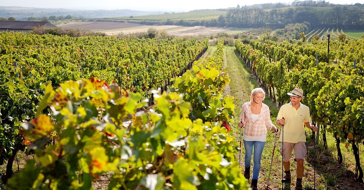 BERGFEX-Sehenswürdigkeiten - Auf Wanderschaft im Retzer Land - Retz ...