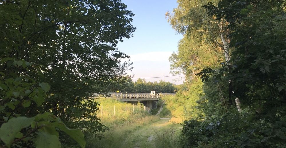Wienerwaldsee walking - BERGFEX - Wanderung - Tour Niederösterreich