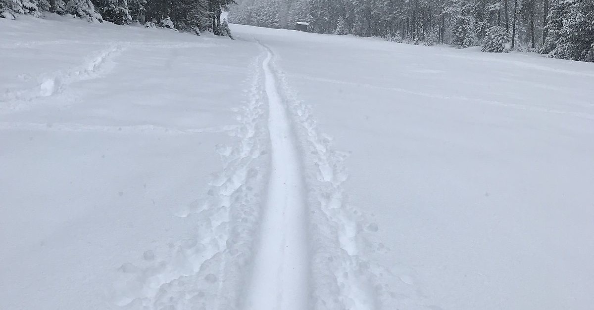 Grünberg Obsteig - BERGFEX - Skitour - Tour Tirol