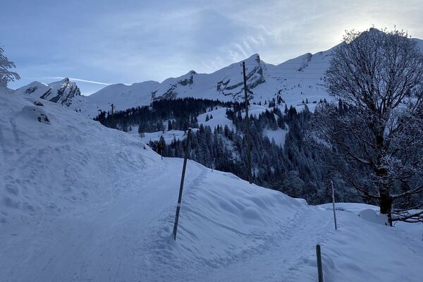 Von Dallenwil - BERGFEX - Skitour - Tour Luzern - Vierwaldstättersee