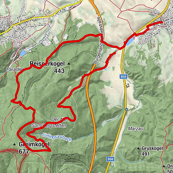 Rundwanderung "Der Narr" - BERGFEX - Wanderung - Tour Burgenland