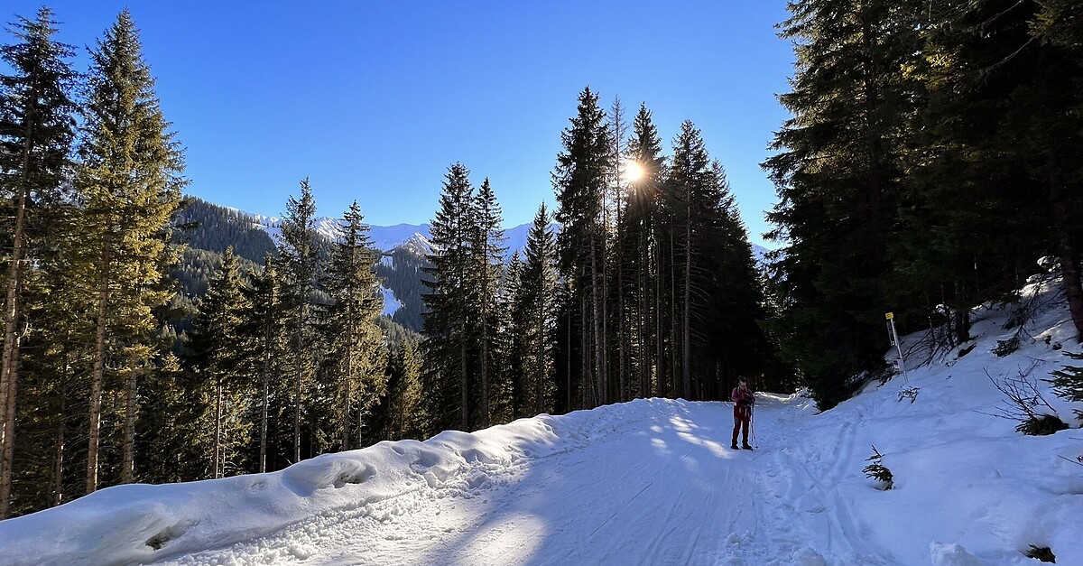 Navis Peer Alm - BERGFEX - Wandelen - Tocht Tirol