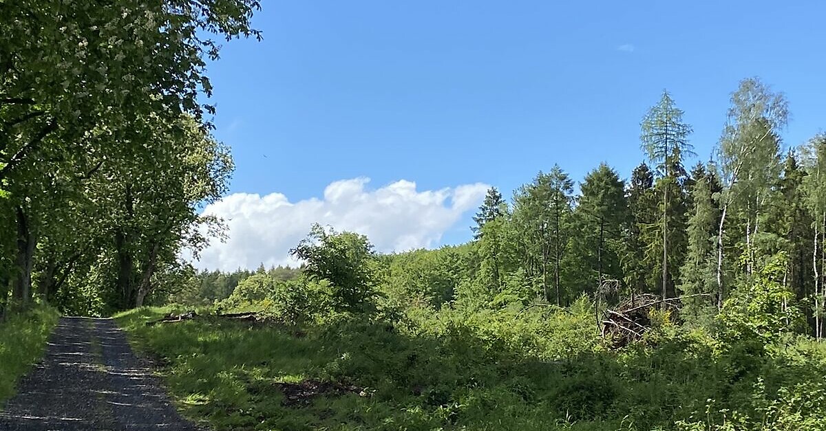Runde um Schloss Monrepos Neuwied Segendorf - BERGFEX - Wanderung ...
