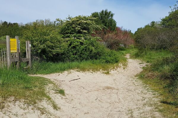 Wandern Sint-Verona (42 m) | Flämische Region