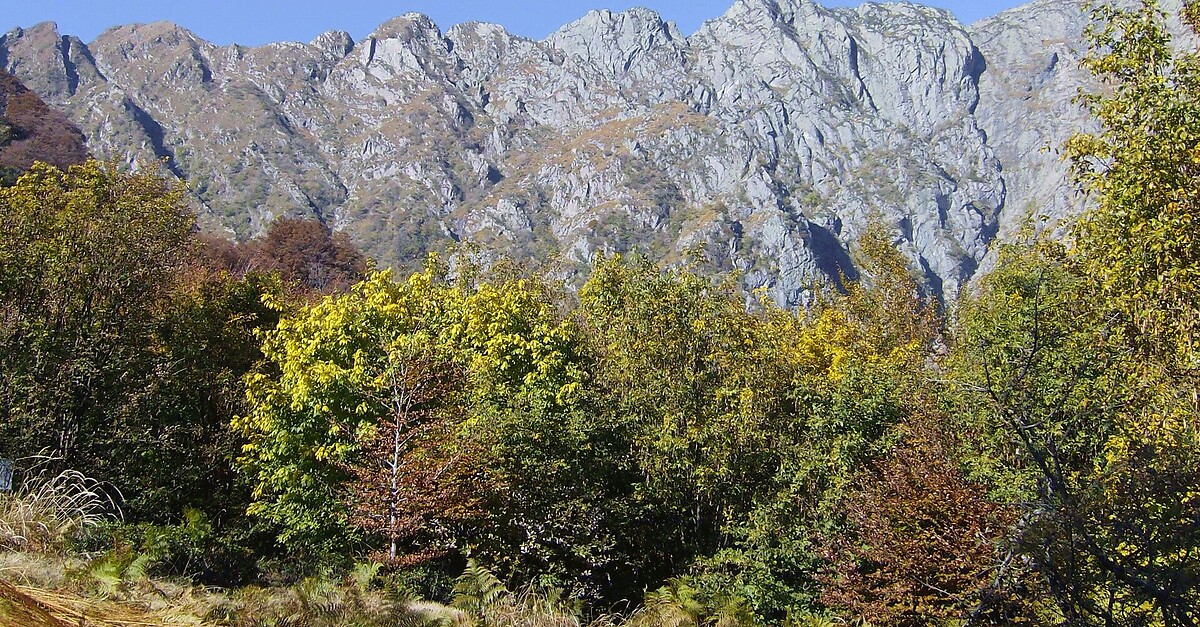 Centres of energy in the Ghiridone - BERGFEX - Tematska pot - Turneja ...