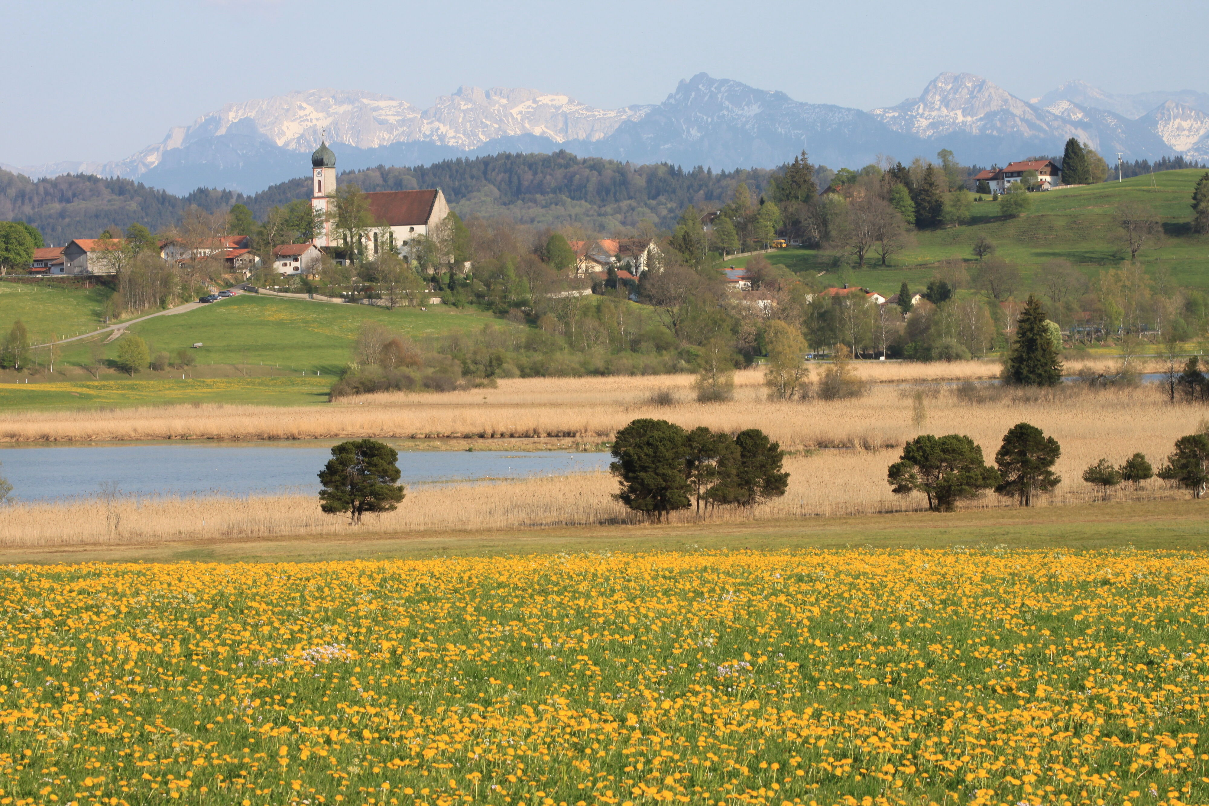 BERGFEX: Seeg: Urlaub Seeg - Reisen Seeg