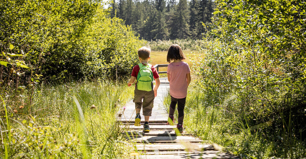 BERGFEX-Sehenswürdigkeiten - Moor & more Erlebniswelt - St. Johann in ...