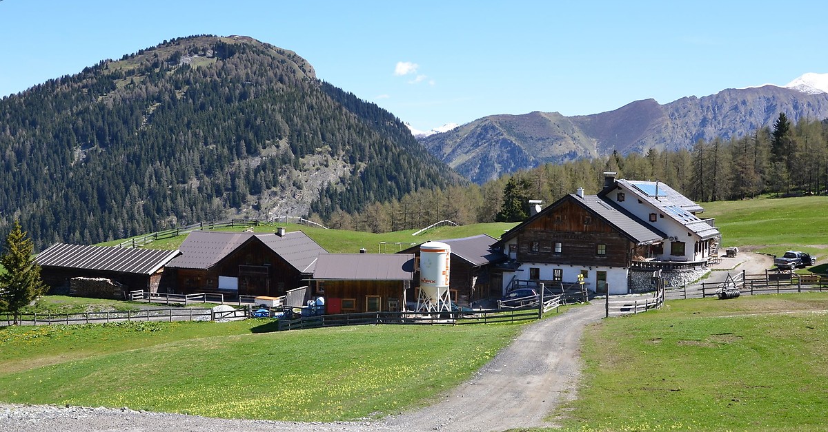 Wanderung Sattelbergalm - BERGFEX - Wanderung - Tour Tirol