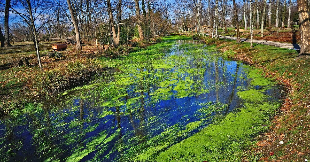 10 thousand steps of health FVG - CODROIPO - BERGFEX - Wanderung - Tour ...