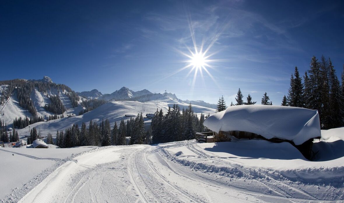 bergfex: Weather, webcams and ski resorts in Austria and Europe