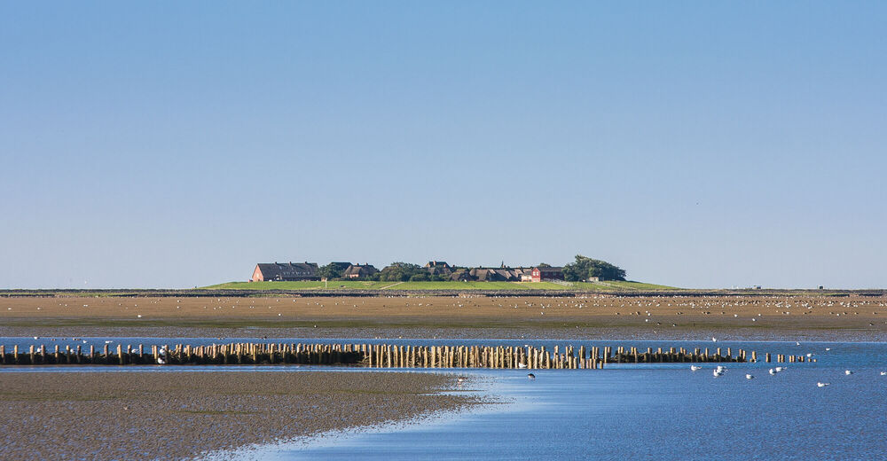 BERGFEX-Sehenswürdigkeiten - Die Halligen - Nordsee Schleswig-Holstein ...