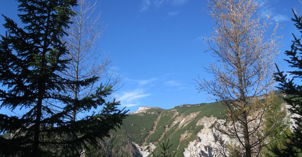 Raxgebiet: Über den Haidsteig zur Preinerwand (D) - BERGFEX ...