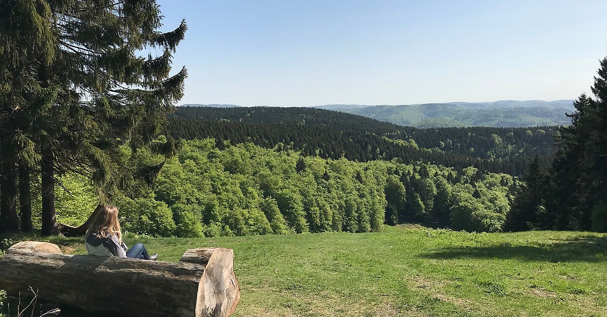 Stempel sammeln in Wieda Tour 7 – 2 Stempel - BERGFEX - - Túra Dolné Sasko