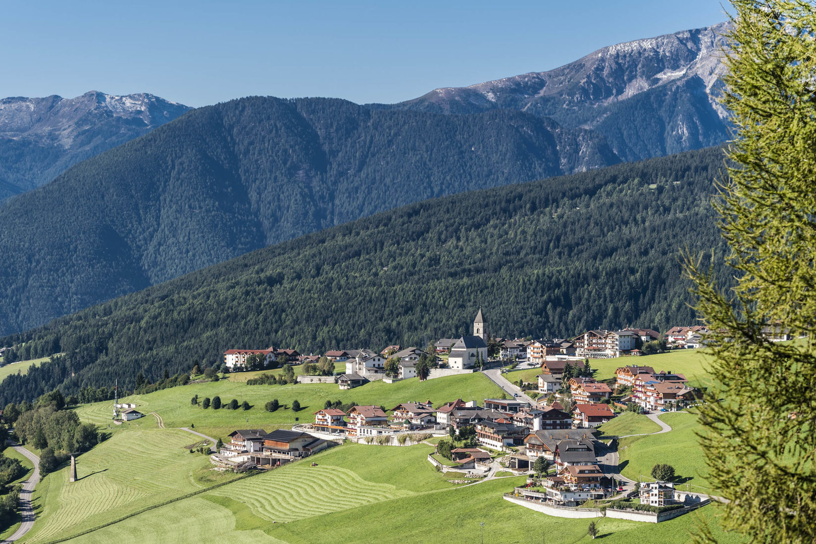 BERGFEX: Cartina panoramica Maranza: Mappa Maranza - Pascolo - Maranza