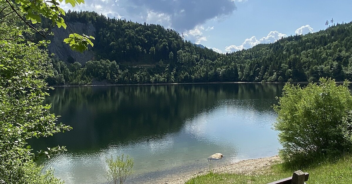 Schwarzensee - BERGFEX - Spazieren - Tour Oberösterreich