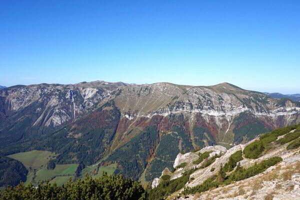 Haidsteig (C/D) auf die Preiner Wand 1783m - BERGFEX - Klettersteig ...