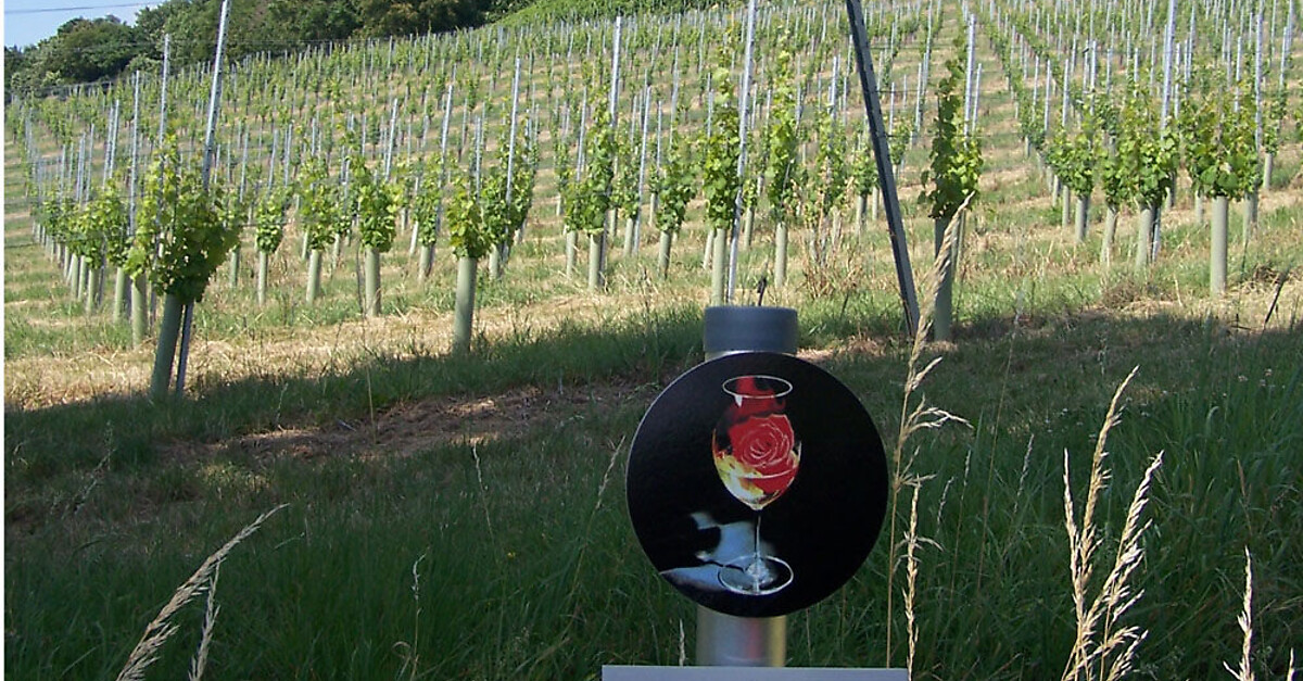 Traminerweg, Klöch, 2. Abschnitt, "Rund um den Hochwarth" - BERGFEX ...