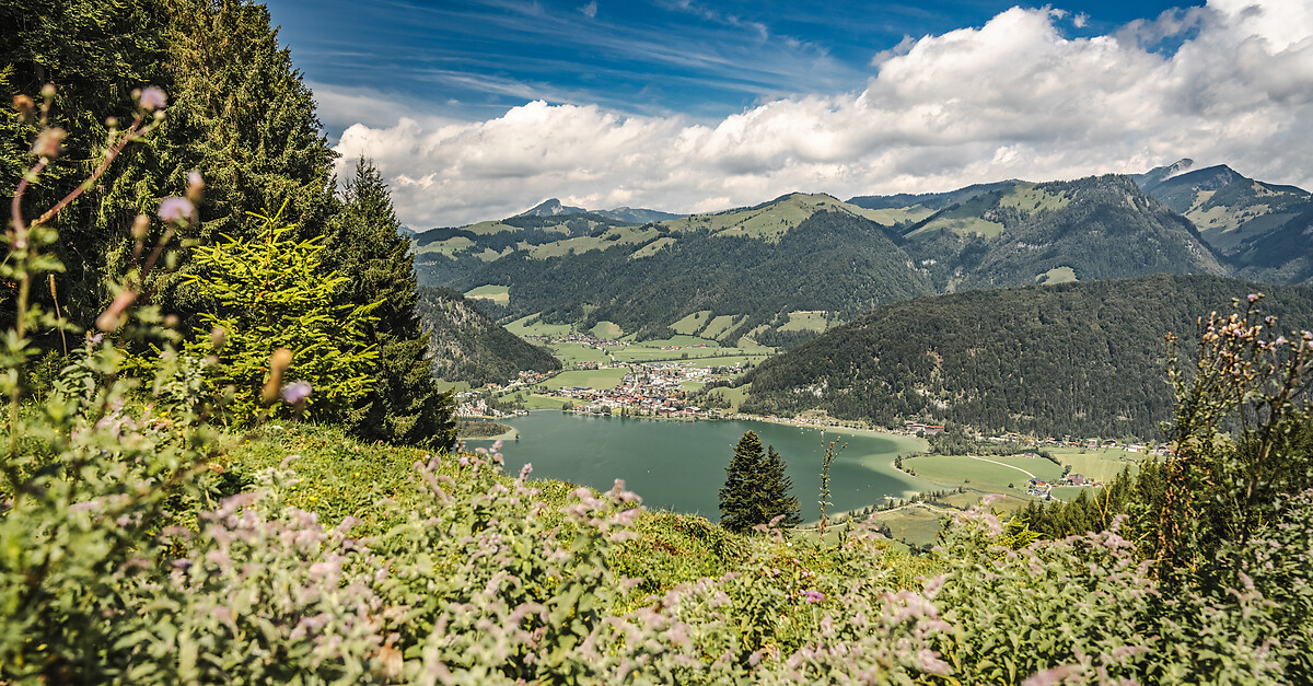 Wetter Walchsee Osterreich