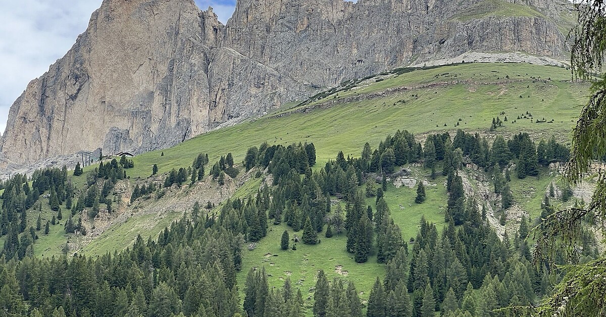 Passo Costalunga - Sella del Ciampaz - BERGFEX - Wanderung - Tour Trentino
