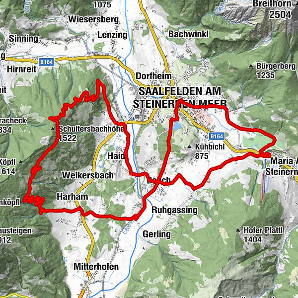 SA 07 Saalfelden-Tour - BERGFEX - Radfahren - Tour Salzburger Land