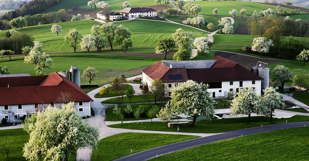 Neuhofen Panoramarunde - BERGFEX - Radfahren - Tour Niederösterreich