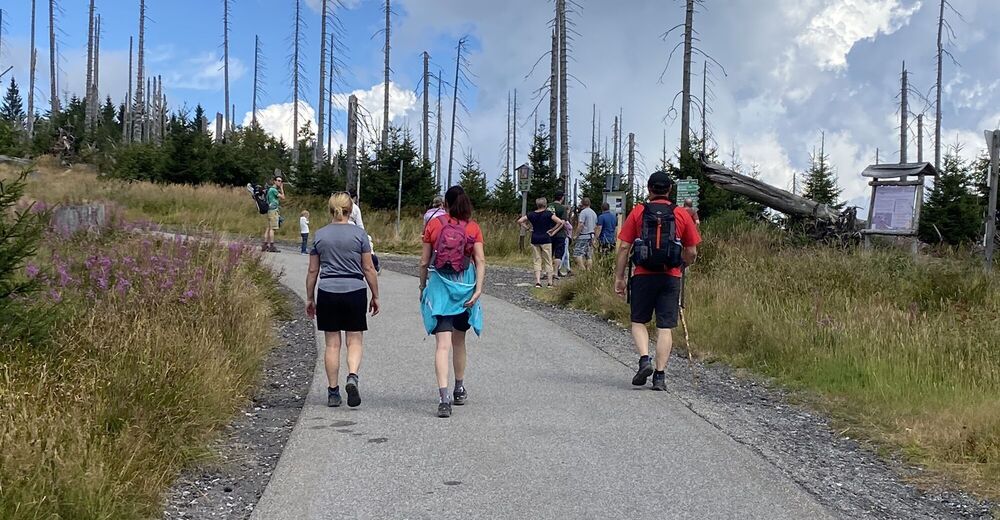 Plöckenstein - BERGFEX - Wanderung - Tour Oberösterreich