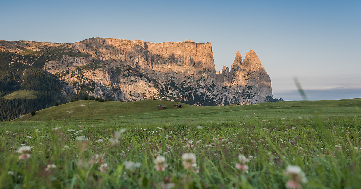 BERGFEX: Seiser Alm: Vakantie Seiser Alm - Reizen Seiser Alm