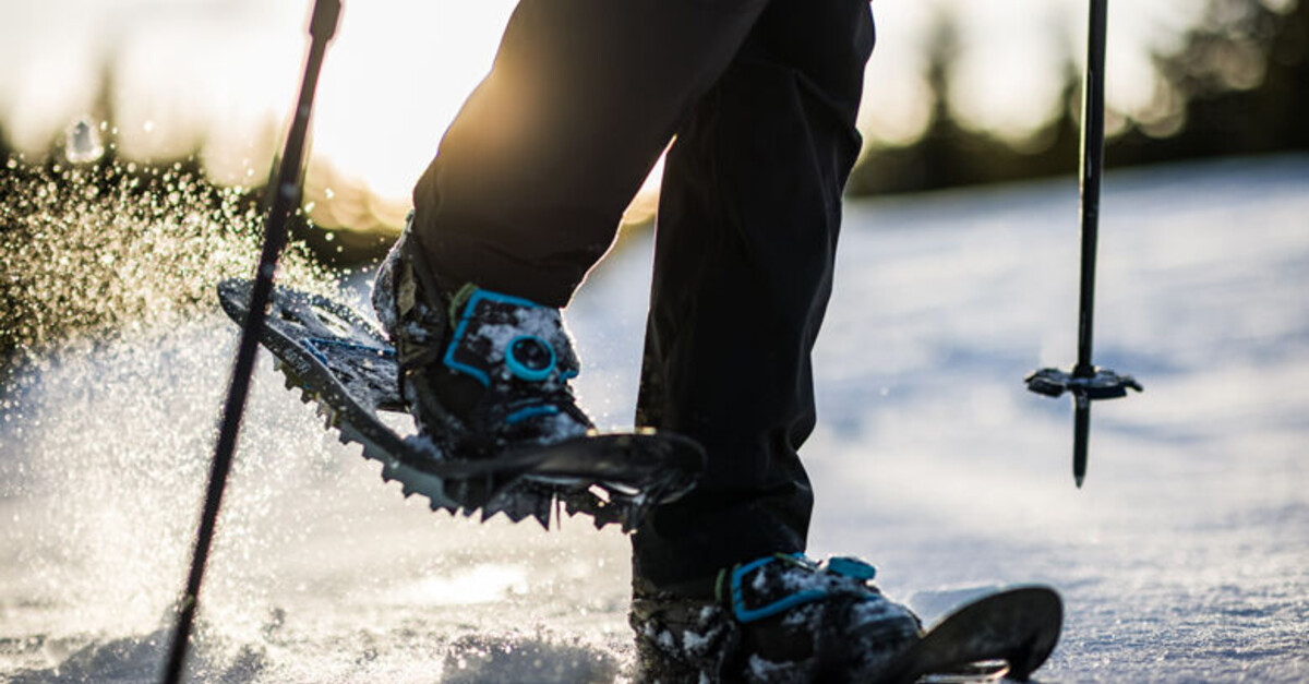 Coronas Ameisenpfad im Winter - BERGFEX - Schneeschuh - Tour ...