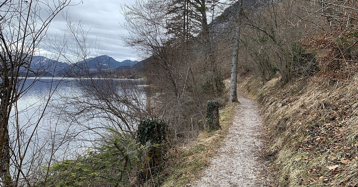 Obertraun nach Steeg (Seeuferweg) - BERGFEX - Wanderung - Tour ...