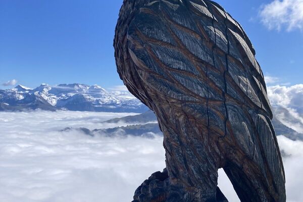 Restaurant du Col du Pillon - Col de Voré - Huus am Arnensee - Col-du ...