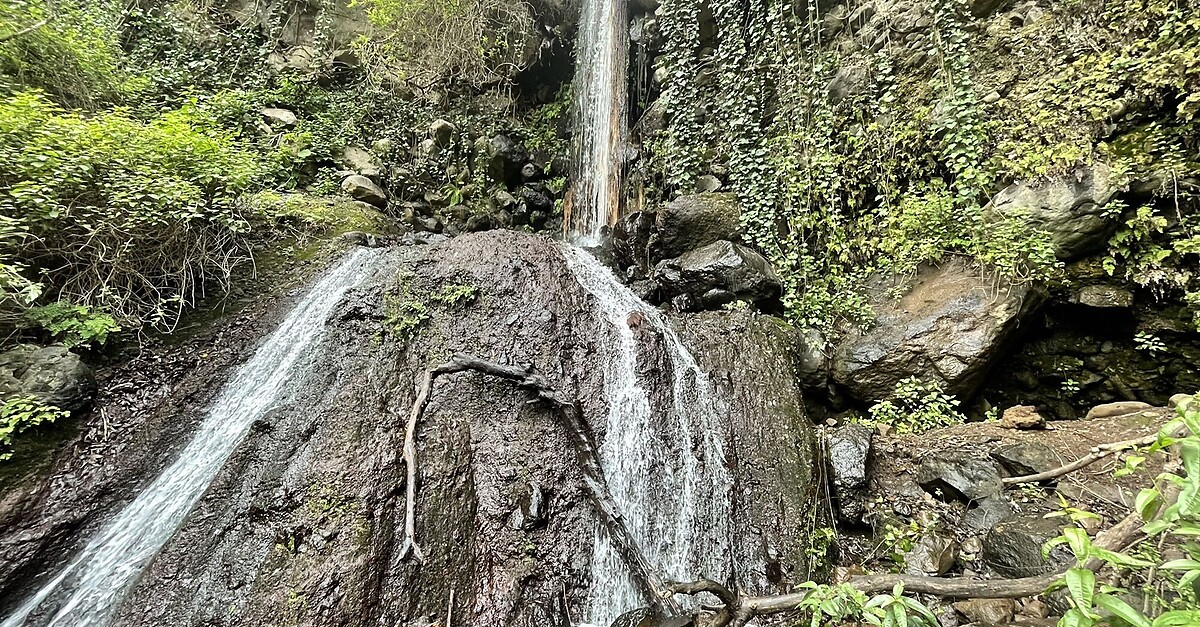 Clover trail - BERGFEX - Bergwandern - Tour Kanaren