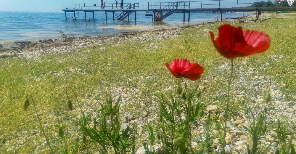 BERGFEX-Badesee Strandbad Lochau - Naturbadesee - See - Baden - Schwimmen
