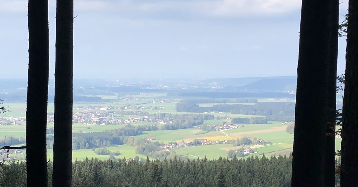 Tannberg von Lochen (Tannberg-Grub) - BERGFEX - Randonnée - Parcours ...