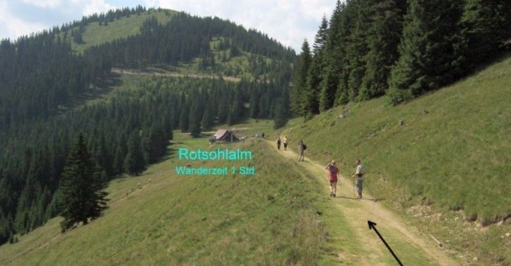 Hohe Veitsch - Schalleralm - Rotsohl - Turnauer Alm - BERGFEX ...