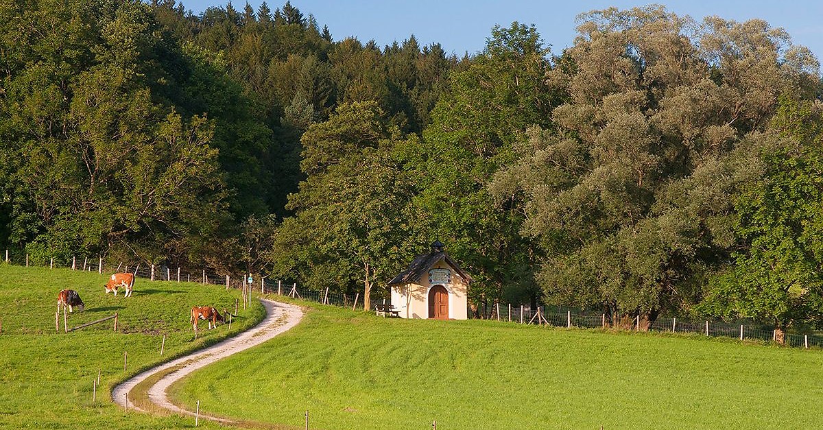 Talrunde Anger - Piding - BERGFEX - Wanderung - Tour Bayern