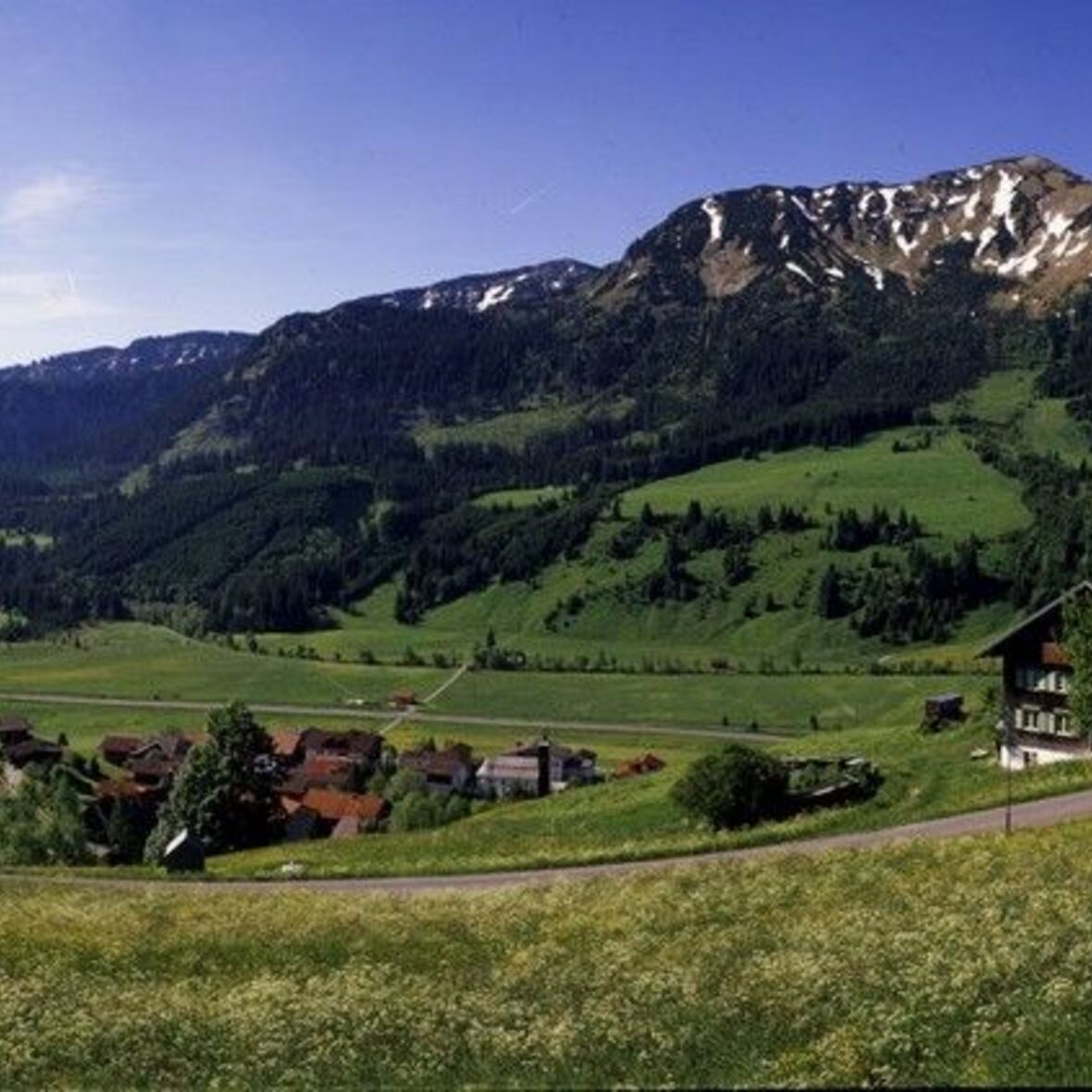 bergfex: Weather, webcams and ski resorts in Austria and Europe