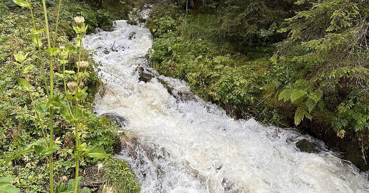 Geoweg vom Dachsteinkönig - BERGFEX - Wanderung - Tour Oberösterreich