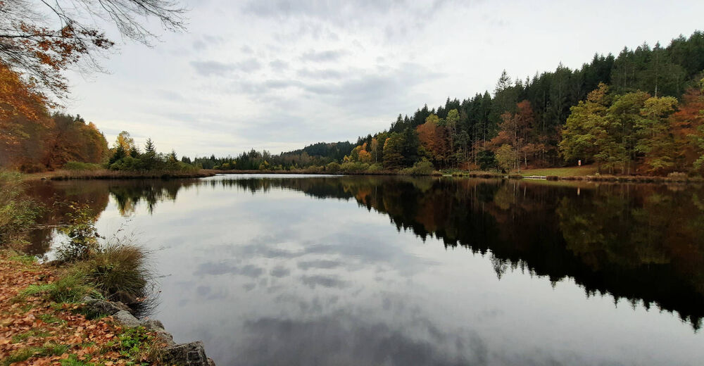 BERGFEX-Badesee Deininger Weiher - Weiher - See - Baden - Schwimmen