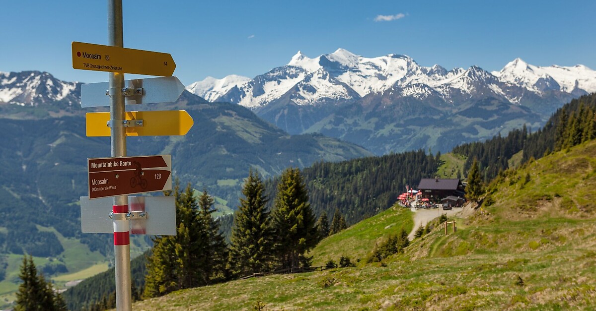 Bruck: 14 | Moosalm ab Schranken Brandenau - BERGFEX - Wanderung - Tour ...