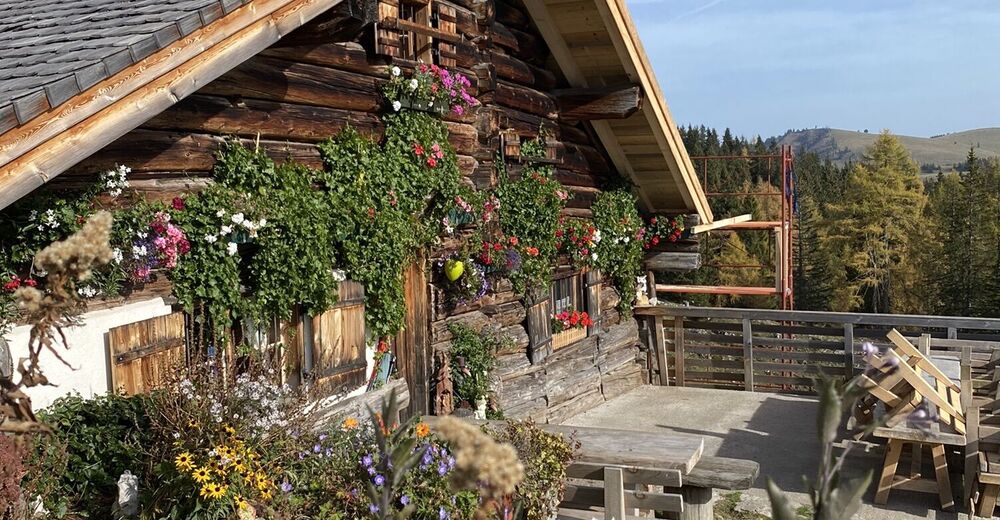 Pitschenberg - BERGFEX - Bergwandern - Tour Salzburger Land