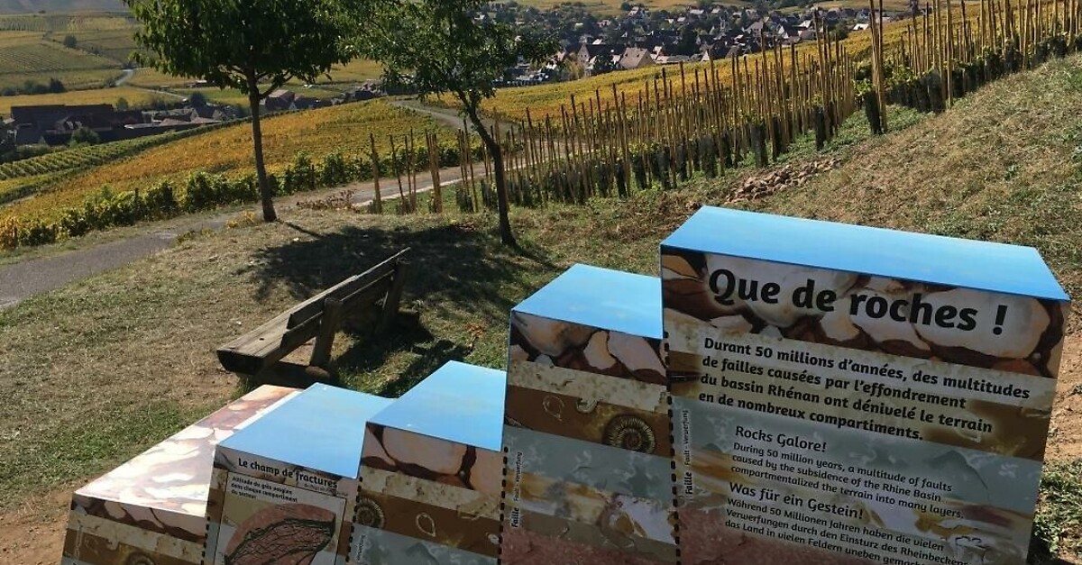 Géovino course: Rocks and soils - BERGFEX - Turistika - Prohlídka Grand Est