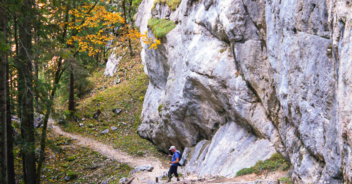 Neue Traunsteiner Hütte von Reith - BERGFEX - Wanderung - Tour ...