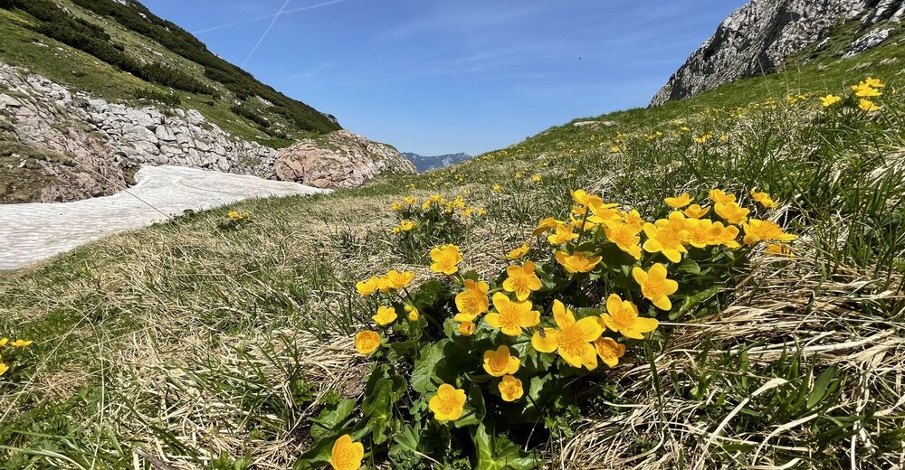 Gleinkersee - Dümlerhütte - Rote Wand - Gleinkersee - BERGFEX ...
