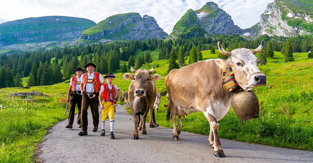BERGFEX: Toggenburg: Holiday Toggenburg - Travel Toggenburg