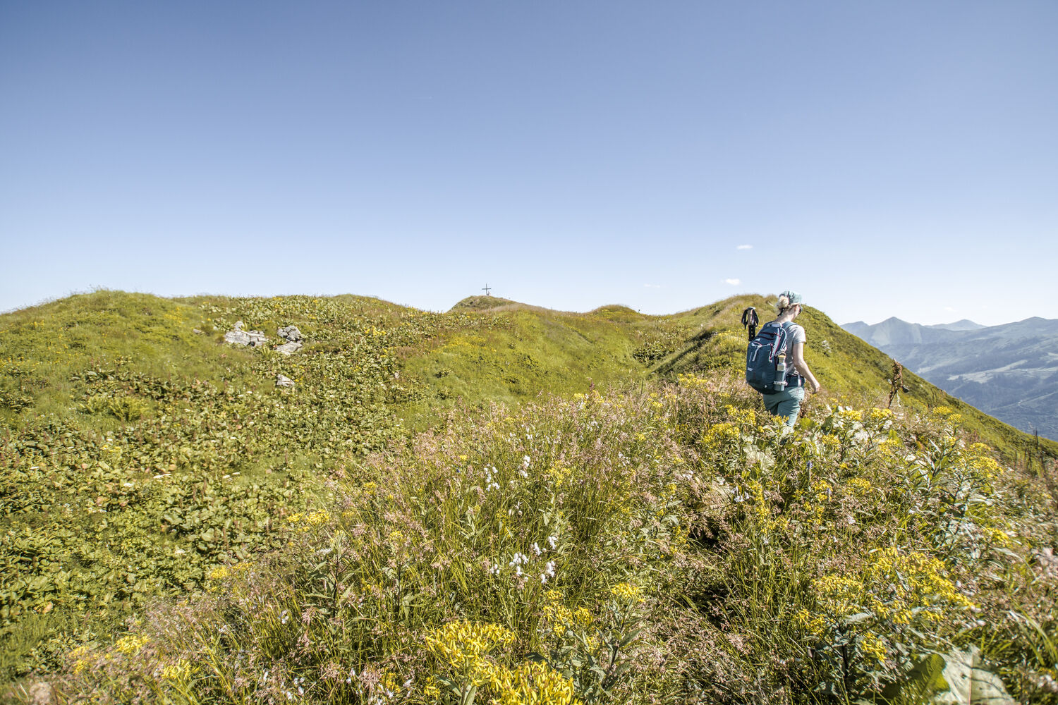 BERGFEX: Donnersbachwald - Riesneralm: Urlaub Donnersbachwald ...
